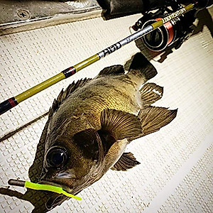 Abu Garcia ZMSS-404UL Pack Rod, Spinning Zoom Safari