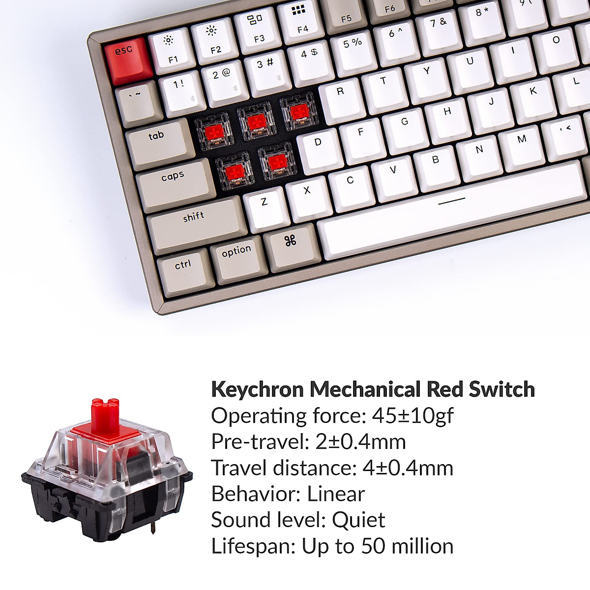 Keychron K2 75% Layout Bluetooth Wireless Mechanical Gaming Keyboard for Mac, Multitasking Type-C Wired 84 Keys Computer Keyboard for Windows with Keychron Mechanical Red Switch Aluminum Frame