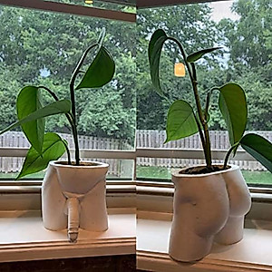 HFEHSKJ Body Vases for Decor, Unique Planter Resin Male Body Plant Pots, Unique Succulents Pot for Home Table Garden