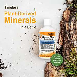 Vital Earth Minerals Fulvic Humic Mineral Blend Liquid 2-Pack – Fulvic Acid Supplement with 70+ Trace Minerals, Electrolytes for Recovery, Balance & Energy, 32 Oz Ea + 1 Oz Cup Ea