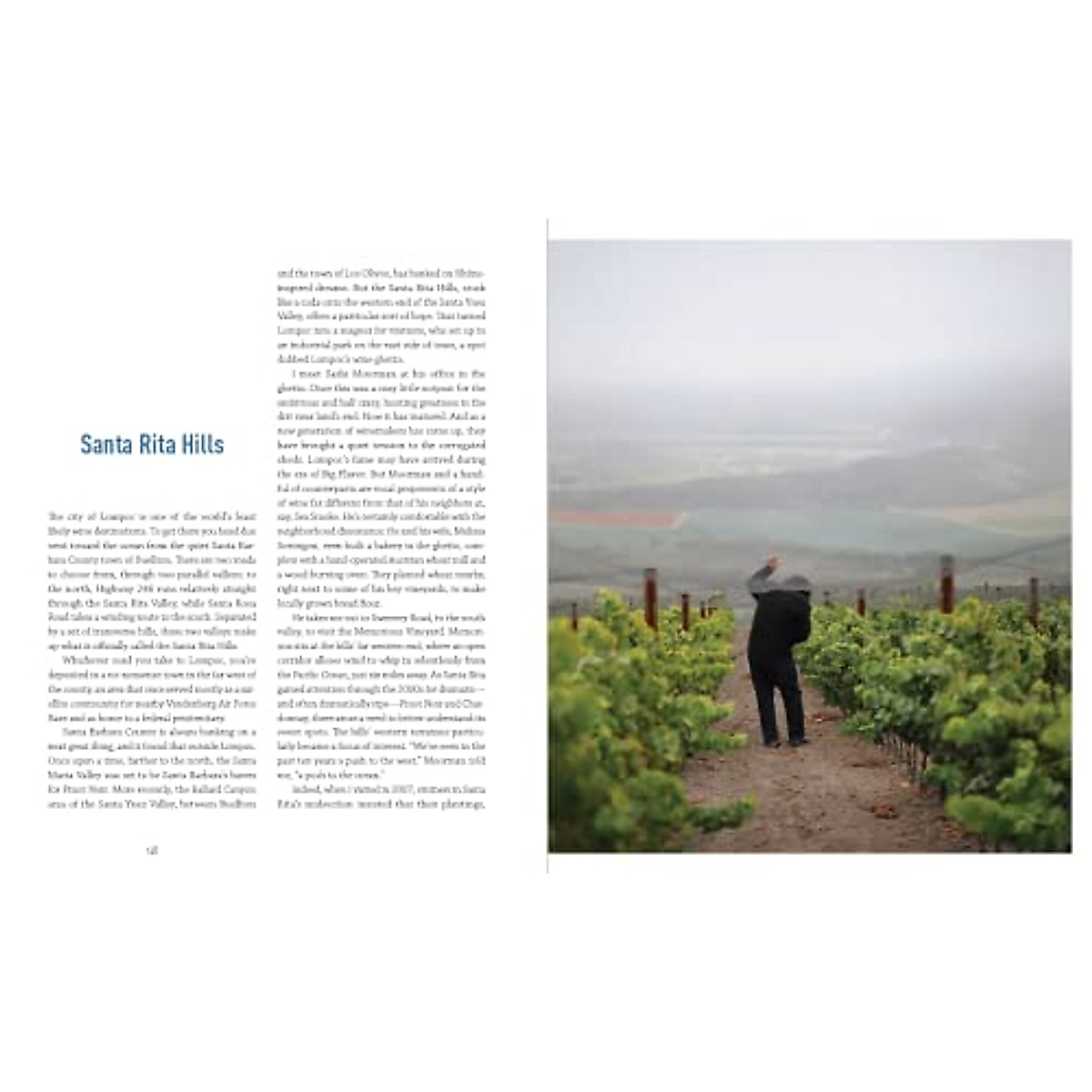 The New California Wine: A Guide to the Producers and Wines Behind a Revolution in Taste