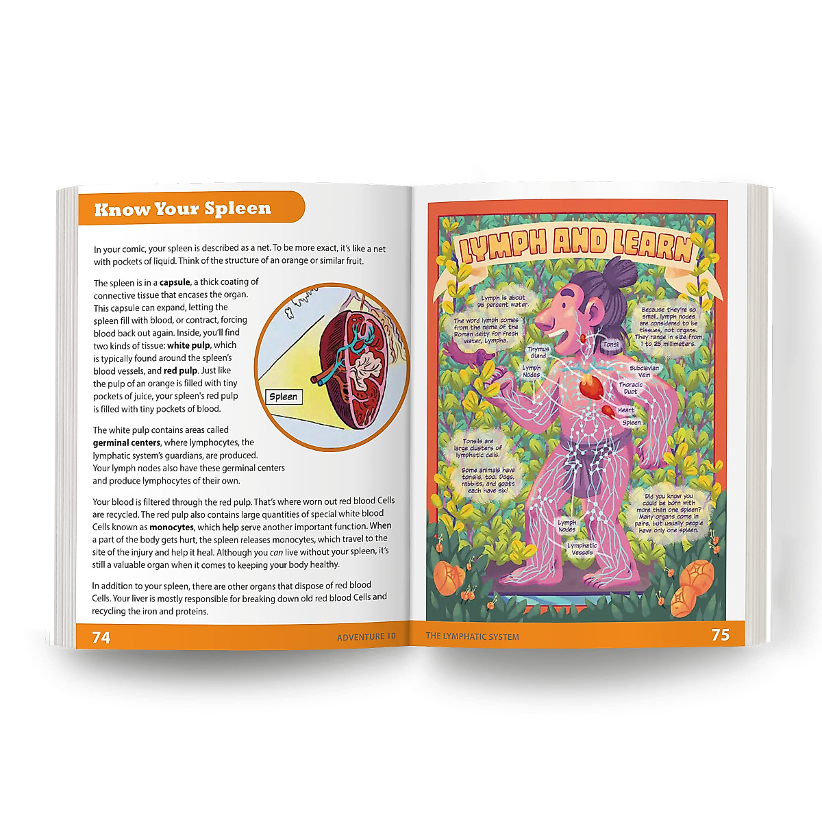 Know Yourself - The Lymphatic System: Adventure 10, Human Anatomy for Kids, Best Interactive Activity Workbook to Teach How Your Body Works, STEM & STEAM, Ages 8-12 (Systems of the Body)