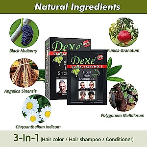 Black Hair Shampoo-Dexe Black Hair Shampoo for Natural Hair,Temporary Instant Hair Dye Maintain for Men and Women Black Color/Easy to Use/Last 30 days/Natural Ingredients (Pack of 10)