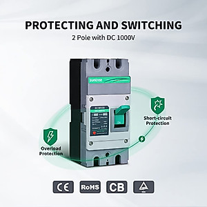 Renogy Suntree 160 Amp 2-Pole DC Circuit Breaker for Off-Grid Solar System, Molded Case
