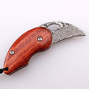 Samior Small Penguin Damascus Mini Karambit Folding Pocket Knife, 1.38" Claw VG10 Blade with Thumb Hole Open, Rosewood Handle with liner Lock and Lanyard Leather Sheath, 2.1oz