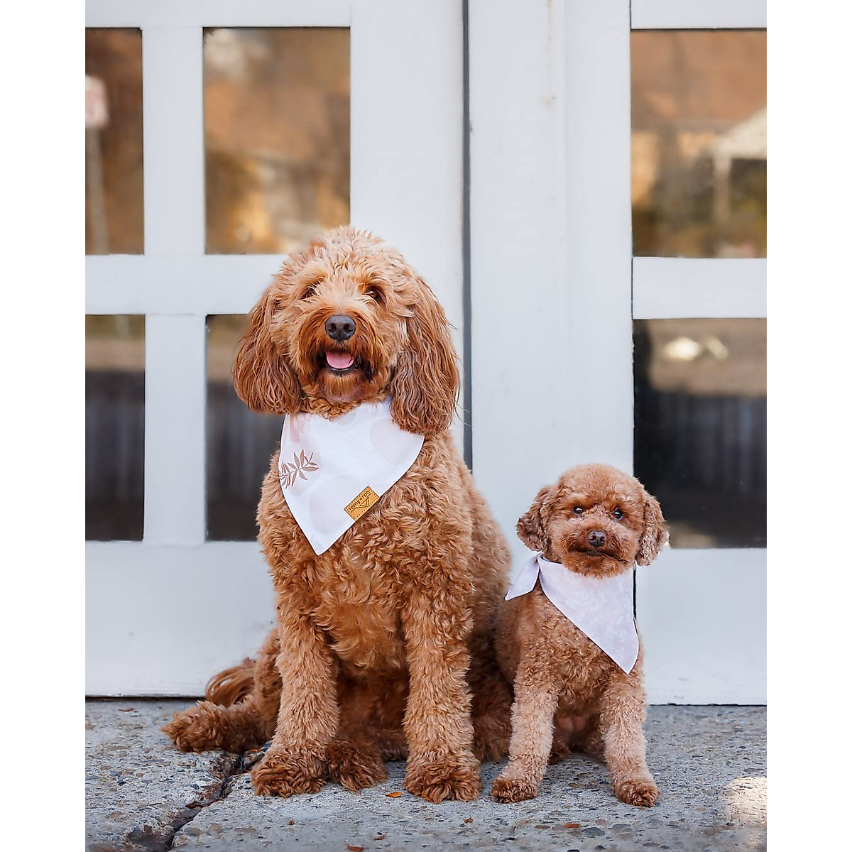 Remy+Roo Small Spring Dog Bandanas - 4 Pack Shannon Set | Premium Durable Adjustable Polyester Fabric | Patented Shape Girl Dog Bandana, Floral Dog Bandana | Ideal for Birthday Party Wedding Holiday