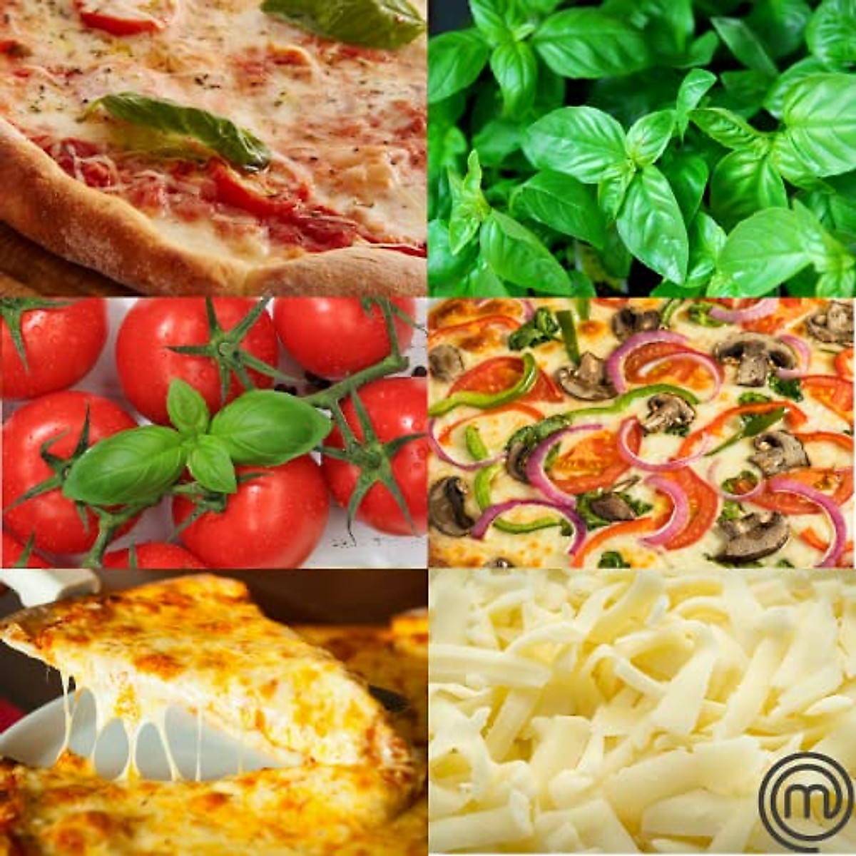 MasterChef Pizza Maker- Electric Rotating 12 Inch Non-stick Calzone Cooker -Countertop Indoor OutdoorTableTop Oven, Reheat Calzone, Quesadilla for Crisp Crust w Adjustable Temperature Control, Gift