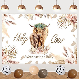 JOYMEMO Brown Highland Cow Baby Shower Decorations for Boy, Holy Cow We are Having a Baby Backdrop Decor with Welcome Baby Print Banner Cake Topper, Farm Highland Cattle Baby Shower Party Supplies