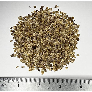 Painted Daisy Seeds for Planting Outdoors, 2.5 Grams of Flower Seeds, Chrysanthemum Carinatum, Tricolor Daisy