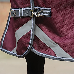 WeatherBeeta ComFiTec Plus Dynamic II Standard Neck Medium Horse Blanket, Maroon/Grey/White, 87"