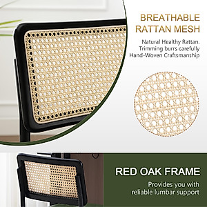 Zesthouse Rattan Desk Chair No Wheels, Mid Century Modern Home Office Chair with Cane Mesh & Wooden Back, Vintage Faux Leather Swivel Accent Chair, Upholstered Armless Computer Task Chair,Green