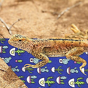 balacoo 2 Sets of Lizard Hammock Bearded Dragon Reptile Bed with Pillow Reptile Lounger Hammock Triangular Haning Net Hammock Swing Hanging Bed for Bearded Dragon Leopard Gecko Rat