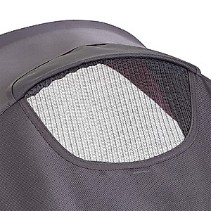 Baby Trend Expedition Race Tec Jogger, Ultra Cassis