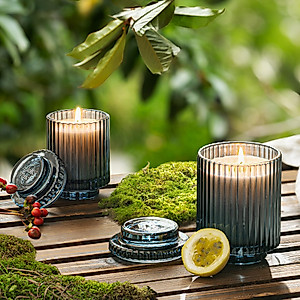 LA JOLIE MUSE Hey Baies Scented Candle, Natural Soy Candles for Home Scented, Candle Gifts for Women&Men, Long Burning Luxury Jar Candle, 11oz