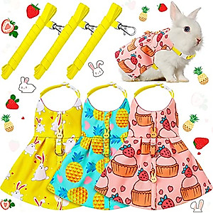 3 Piece Cute Rabbit Leash and Harness Set, Bunny Rabbit Dress Clothes Walking Harness Vest Escape Proof Pet Supply for Rabbit Hedgehog Ferret Guinea Pig (Cake, Bunny, Pineapple)