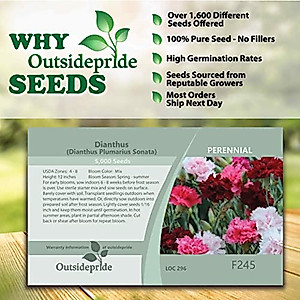 Outsidepride Perennial Dianthus Sonata Garden Cutting Flowers for Vases, Bouquets - 10000 Seeds