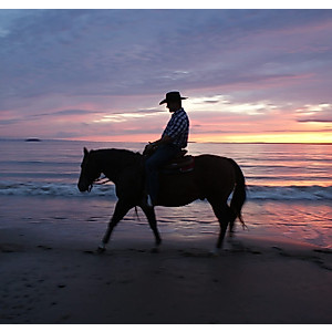Willheoy Cowboy Hat for Men Women Western Cowgirl Hats Felt Fedora Hat Cowboy Costume Black