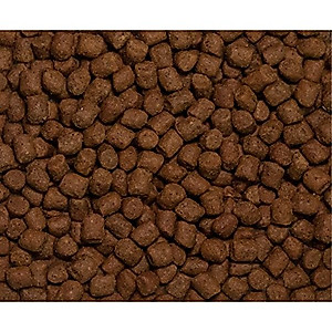 Wysong Optimal Adult Canine Formula Dry Dog Food- 5 Pound Bag, Model: WDCOA5