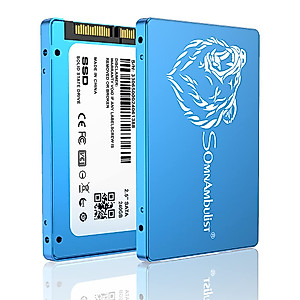 Somnambulist Laptop/Desktop SSD 2.5" SATA3 120gb 240gb 60gb SSD Solid State (Blue Bear-120GB)