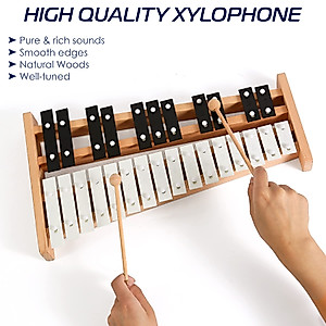 MINIARTIS Glockenspiel Xylophone | Full Size Glockenspiel Xylophone 27 Note Metal Keys for Adults & Kids | Percussion Instrument Includes 2 Wooden Beaters and Carry Case