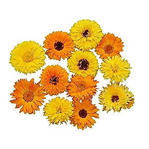 Pacific Beauty Calendula Seed Mix - Calendula officinalis - 140 Seeds, 1 Gram - B246