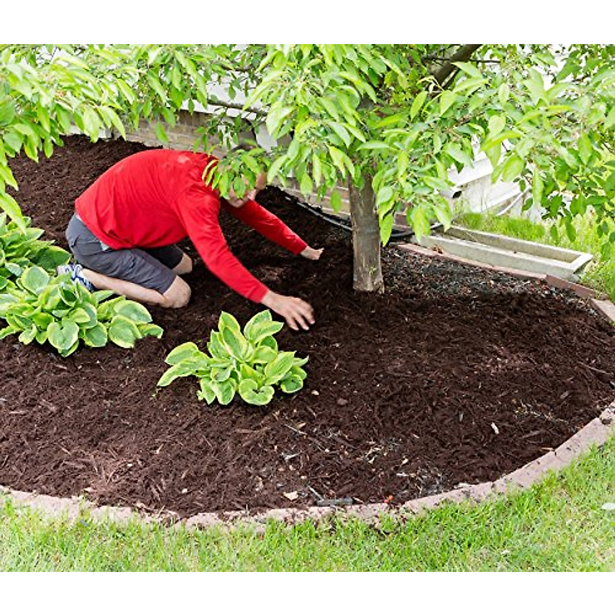 ECOgardener Premium 5oz Pro Garden Weed Barrier Landscape Fabric Durable & Heavy-Duty Weed Block Gardening Mat, Easy Setup & Superior Weed Control, Eco-Friendly & Convenient Design, 3ft x 50ft