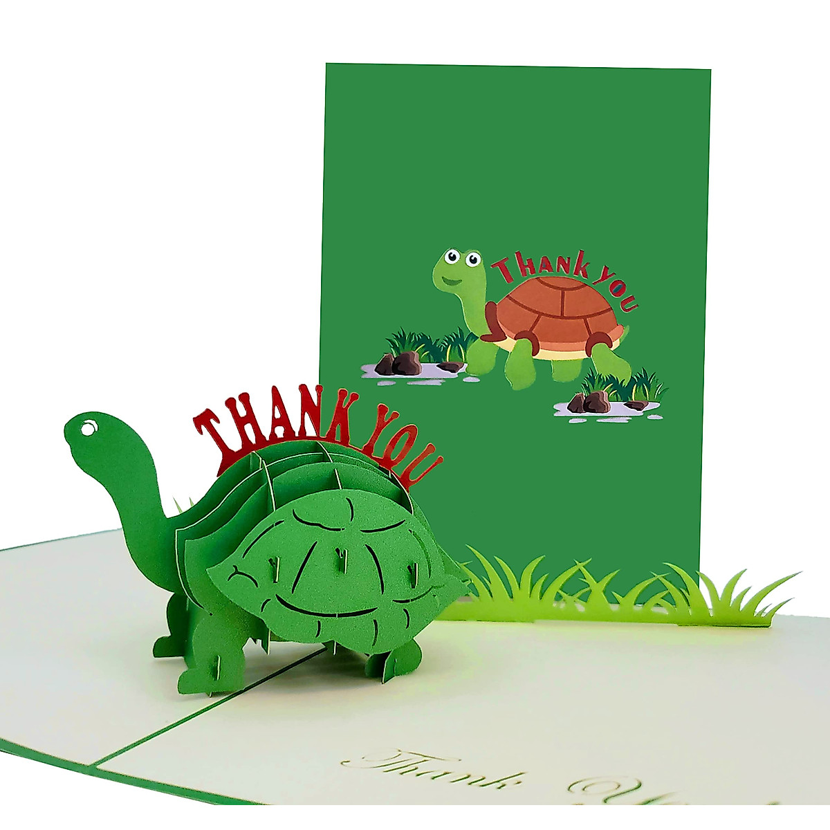 iGifts And Cards Cute Turtle Thank You 3D Pop Up Greeting Card - Funny Animals, Turquoise, Blank, Cool, Fun, Half-Fold, Thank You, Gratitude, Appreciation, Friendship, Best Friend, Belated, Kids, Grad