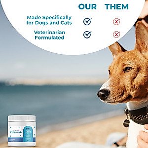 Replenish Hemp Calming Chews for Dogs and Cats - Dr. Rachel's Dog Calming Treats, Soothing Botanicals, Grain-Free, Anxiety Relief, Stress Support - 60 Count