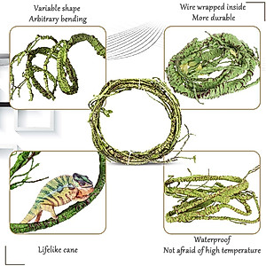 HOVOL Reptile Plants, Flexible Jungle Climbing Vine Terrarium Plants UV Resistant Plastic Artificial Plants and Leaves Hanging Tank Decoration for Bearded Dragons, Lizards, Geckos, Snake, Chameleon