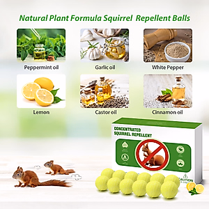 MAGIC CAT Squirrel Repellent Outdoor, 12 Pack Natural Peppermint Oil Squirrel Deterrent for Indoor Attic Pet Family Safe, Rodent Repellent to Keep Squirrel Chipmunk Away from Bird Feeder Garden Yard