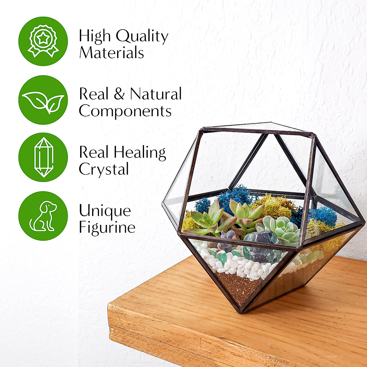 7” DIY Succulent Terrarium Kit with Live Plants, Decorative Rocks, Moss, Healing Crystals, Figurine, Tools & Geometric Glass Terrarium Décor