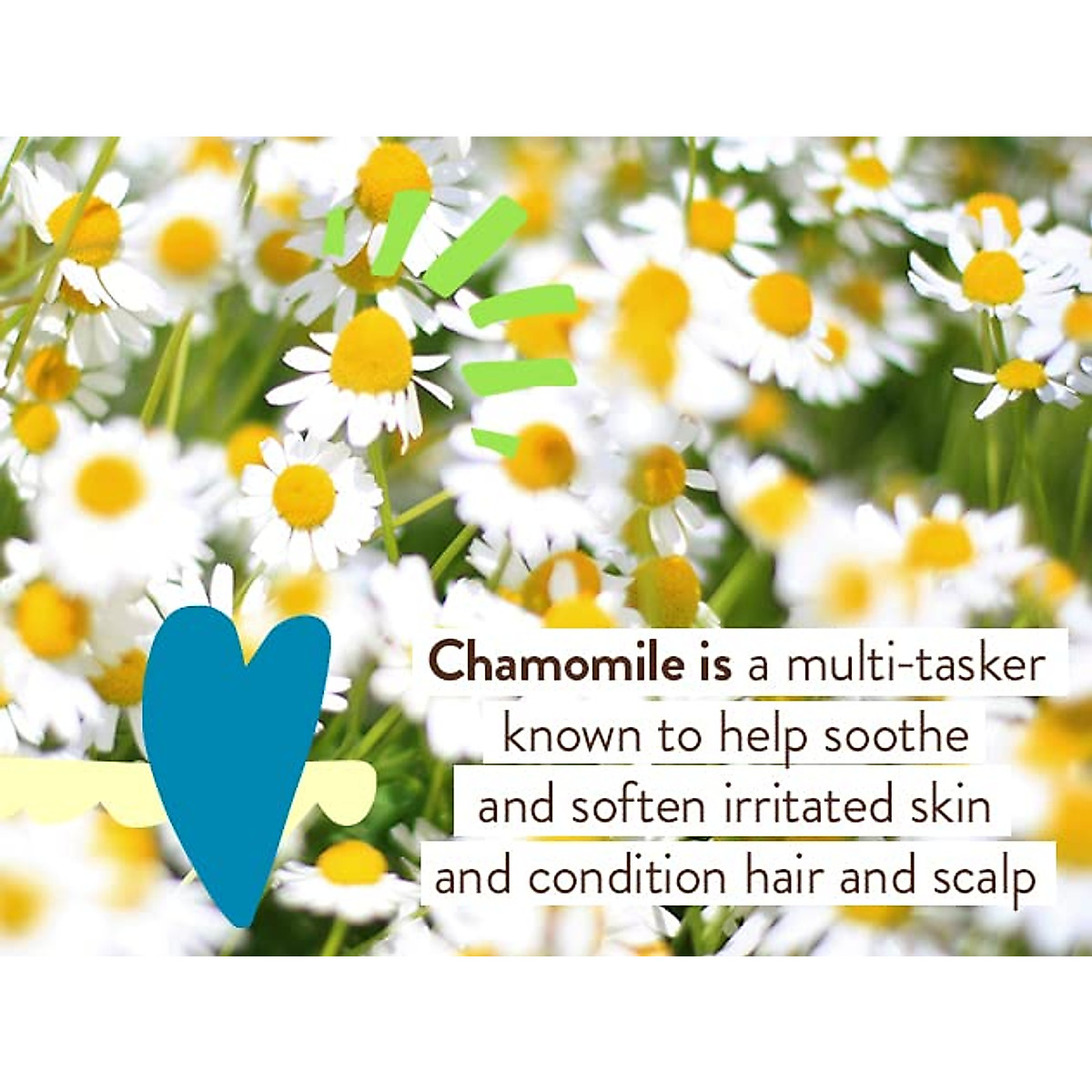 Babo Botanicals Super Shield Mineral Sunscreen Spray SPF 50 - Natural Zinc Oxide & Titanium Dioxide - Extra Sensitive Skin - Water Resistant - Vegan - Fragrance-Free - Air-Powered Spray - For all ages