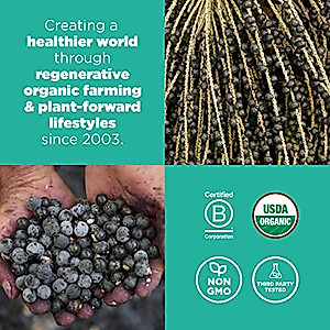 Navitas Organics Acai Powder, 8 oz Bag, 76 Servings — Organic, Non-GMO, Freeze-Dried, Gluten-Free