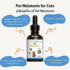 Pet Wellbeing Pet Melatonin for Cats - Vet-Formulated - Support for Feline Hyperthyroid, Natural Relaxant, Sleep Support - Liquid Supplement 2 oz (59 ml)