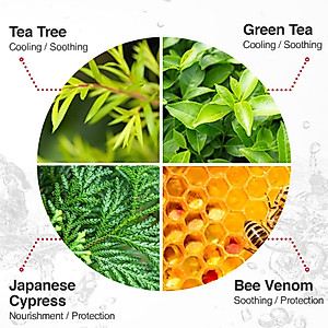 BENTON Snail Bee Ultimate Serum Plus 35ml (1.18 fl.oz.) - Snail Secretion Filtrate, Bee Venom, Tea Tree Leaf Water Contained Skin Nourishing & Soothing Facial Serum for Sensitive, Dry Skin