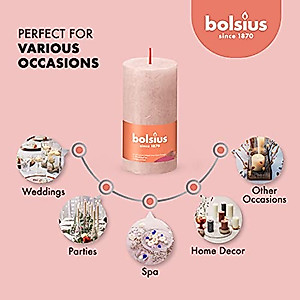 BOLSIUS 4 Pack Misty Pink Rustic Pillar Candles - 2 X 4 Inches - Premium European Quality - Natural Eco-Friendly Plant-Based Wax - Unscented Dripless Smokeless 30 Hour Party Décor and Wedding Candles