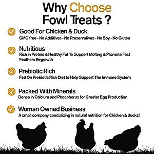 Fowl Treats Naturally Fortified Treats – Protein Rich Supplement Suitable for Chickens, Hens and Ducks, Hand Mixed with USA Grown Ingredients – Equinox Blend – 32oz