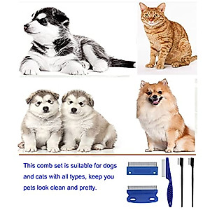5 Pieces Pet Dog Eye Combs Tear Stain Remover Combs Pet Grooming Comb,Pet Lice Comb Remove Fleas and Flea Eggs Pet Comb for Removal Dandruff, Hair Stain,for Small Pet Cat Dogs Removing Crust and Mucus (5-Set)