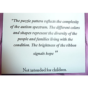 Hidden Hollow Beads Autism Awareness Bracelet, Adult size, Comes packaged (Stretch (Fits Most Adults))