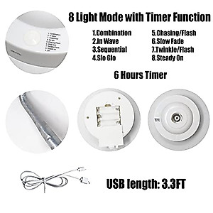 Bonsai Tree Light Silver Matte 20 Inches Artificial Tabletop Fairy Light Tree Lamp,Eight Lighting Modes,USB or Battery Operated with Timer,Decor of Bedroom,Living Room,Christmas (Warm White)