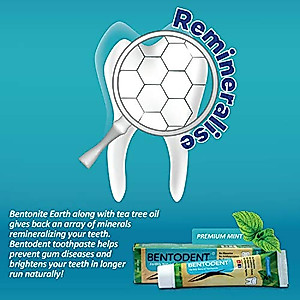 Bentodent Natural Toothpaste for Family Including Kids (Premium Mint)