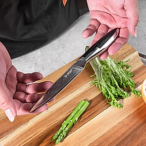 TJ POP Damascus Kitchen Utility Knife 5 Inch, Ultra Sharp Petty Chef Knife, Full-tang Knife, Japanese VG10 Steel Blade, Comfort Grip Non-slip G10 Handle