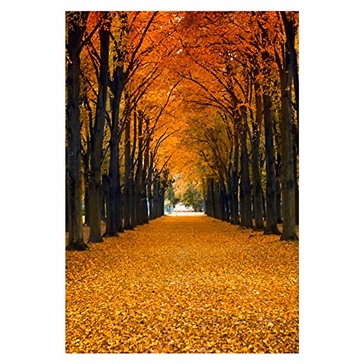 Funnytree 5x7ft Maple Leaves Photography Backdrop Autumn Fallen Yellow Tunnel Scenery Natural Season Background Fall Tree Street Road Photo Studio Props Photobooth Poster Photoshoot