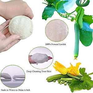 Loofah Sponge Exfoliating Facial Cleaning Pads,10 Packs Natural Loofa Face Scrubber Large Cleanser for Men Women Bath Spa Cleansing,3.15 Inches Dia
