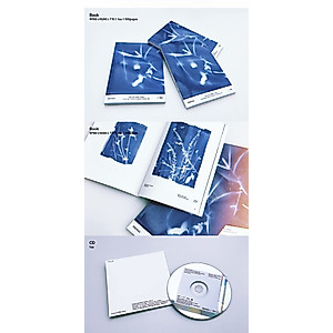 indigo book edition album Y