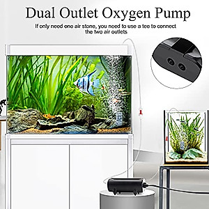 AQQA Aquarium Air Pump,3.5W 5W Dual Outlet Oxygen Pump with 2 Air Stone,Adjustable Air Valve Quiet Bubbler Pump,Up to 160 Gallon Fish Tank (3.5w)