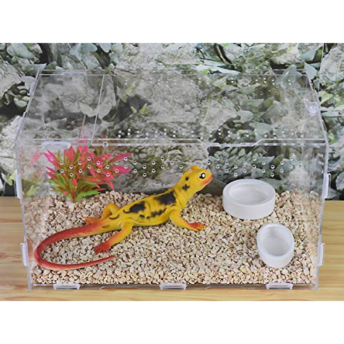 OMEM Worm Dish Mini Reptile Food Bowl Ceramics Made (S)