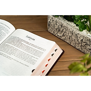 Santa Biblia Reina Valera 1960 Letra Gigante con Indice Foro de Semil Piel en color caoba con cafe claro Incluye fotos y ilustraciones