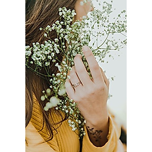 The Collegiate Standard Sterling Silver Pi Beta Phi ring with cut-out letters size 7