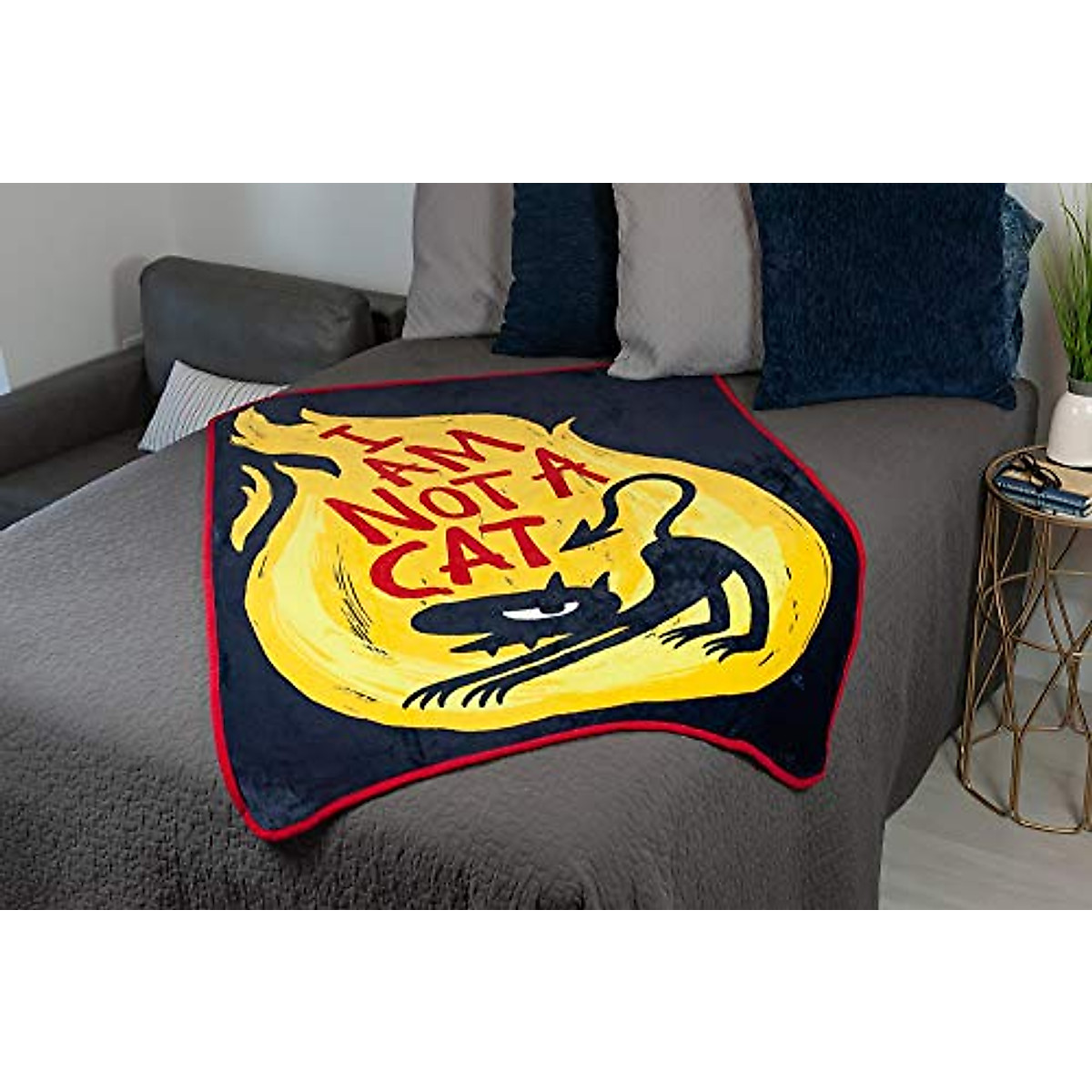 JUST FUNKY Disenchantment Luci The Demon Large Fleece Throw Blanket | Decorative Throw Blanket | Official Disenchantment Collectible Throw Blanket | Measures 60 x 45 Inches